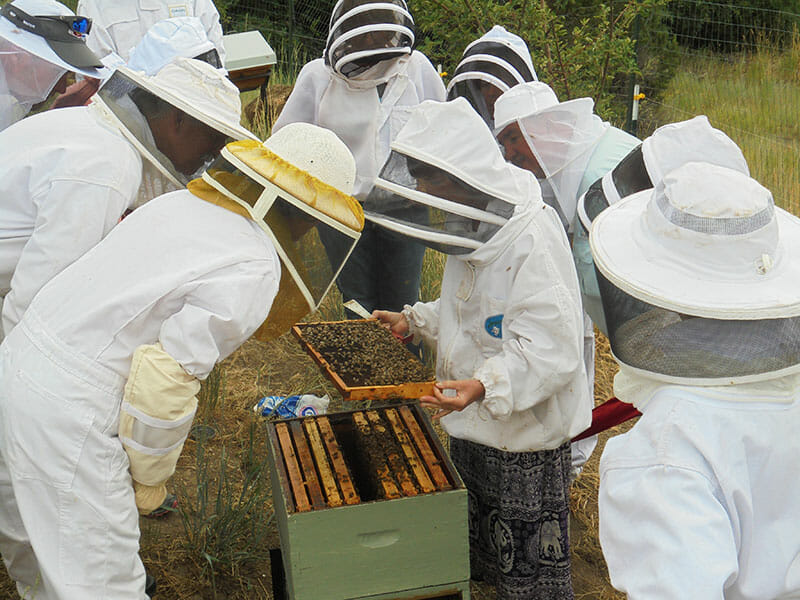 Beekeepers | 4 Corners Beekeepers Association